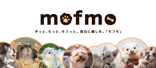 「第25回mofmoフォトコンテスト」中間発表！ 2月22日猫の日を記念して『猫の日特別賞』の追加が決定 「ペットのキメ顔」を応募して豪華景品 ...